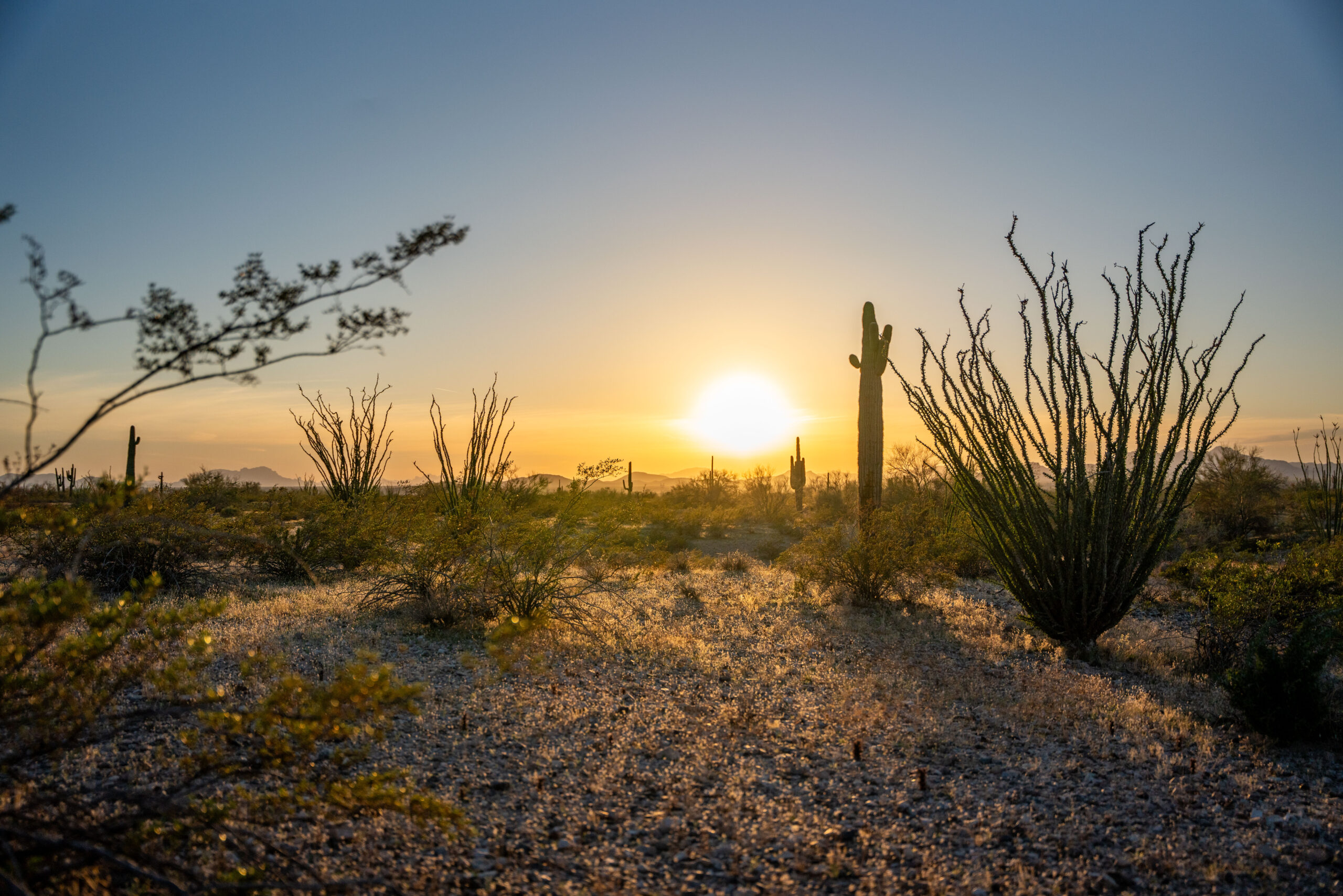 Teravalis and Its Commitment to Community - Teravalis