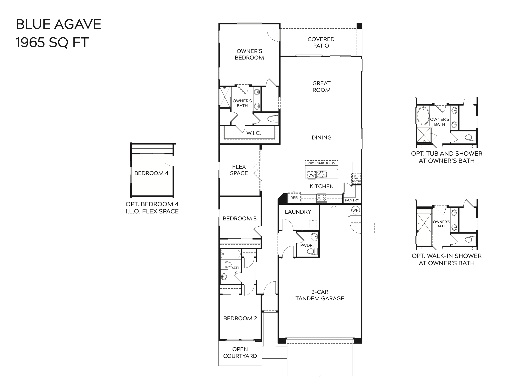 Blue Agave - Teravalis